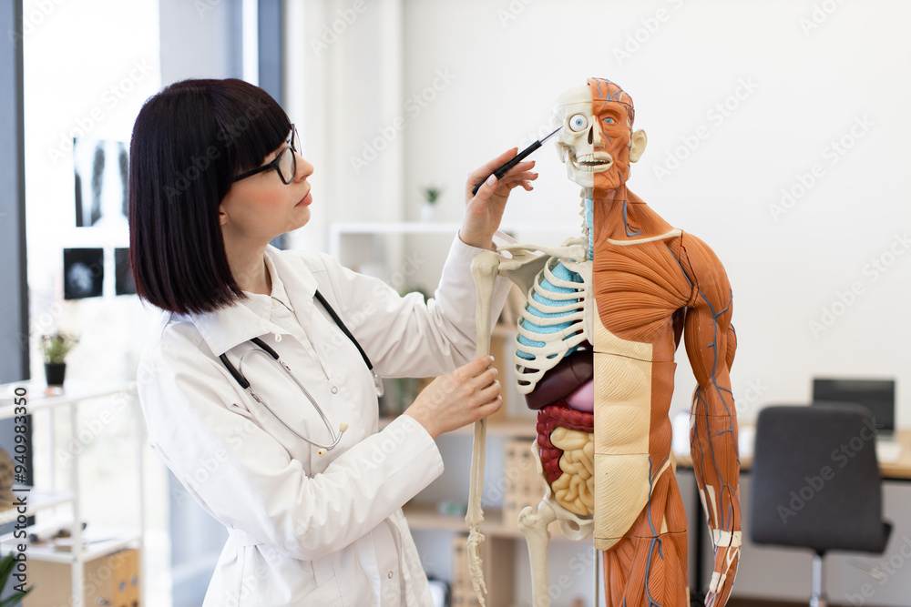 Female doctor demonstrating human anatomy with anatomical model in ...