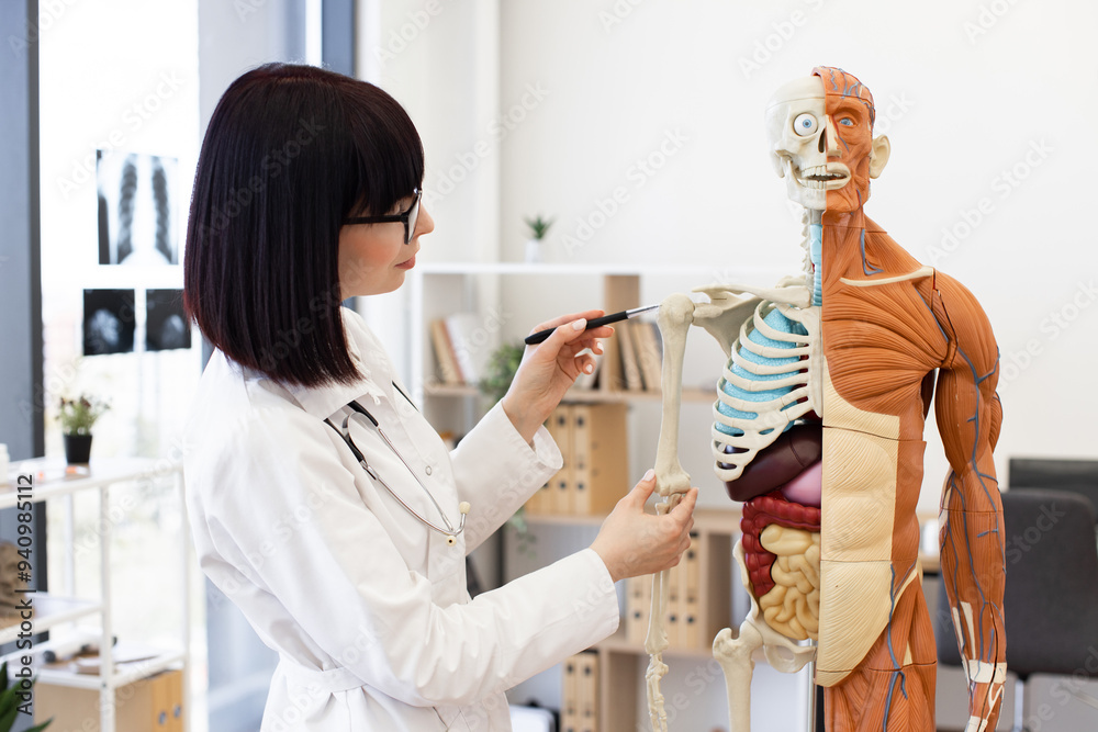 Female doctor in lab coat explaining human anatomy using medical ...