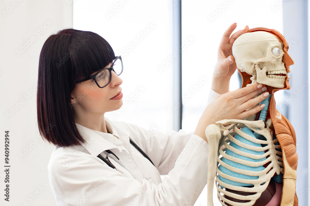 Female doctor studying detailed anatomical model of human skeleton and ...