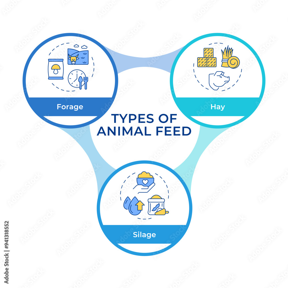Animals feeding infographic circles flowchart. Husbandry, agriculture ...