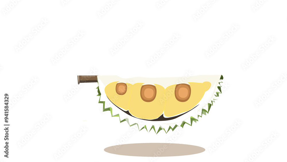 One lobe of fresh durian fruit cut with pulp and seed inside Stock ...