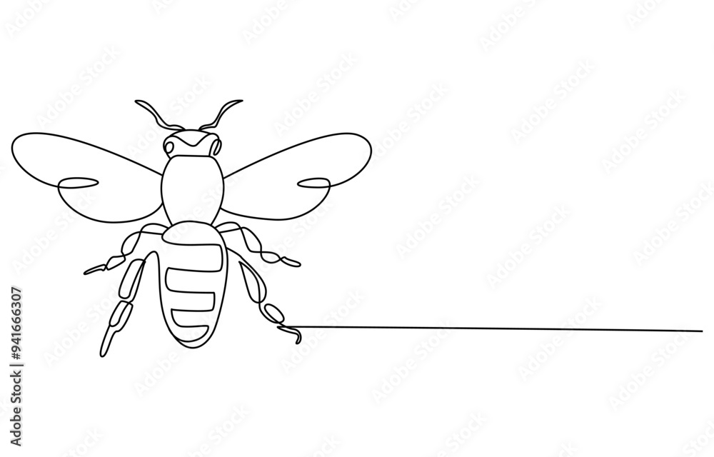 fly insect biology one line art design vector, Simple illustration of ...