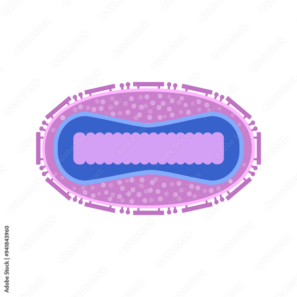 Vector icon of novel mpox virus, Monkeypox viral structure isolated on ...