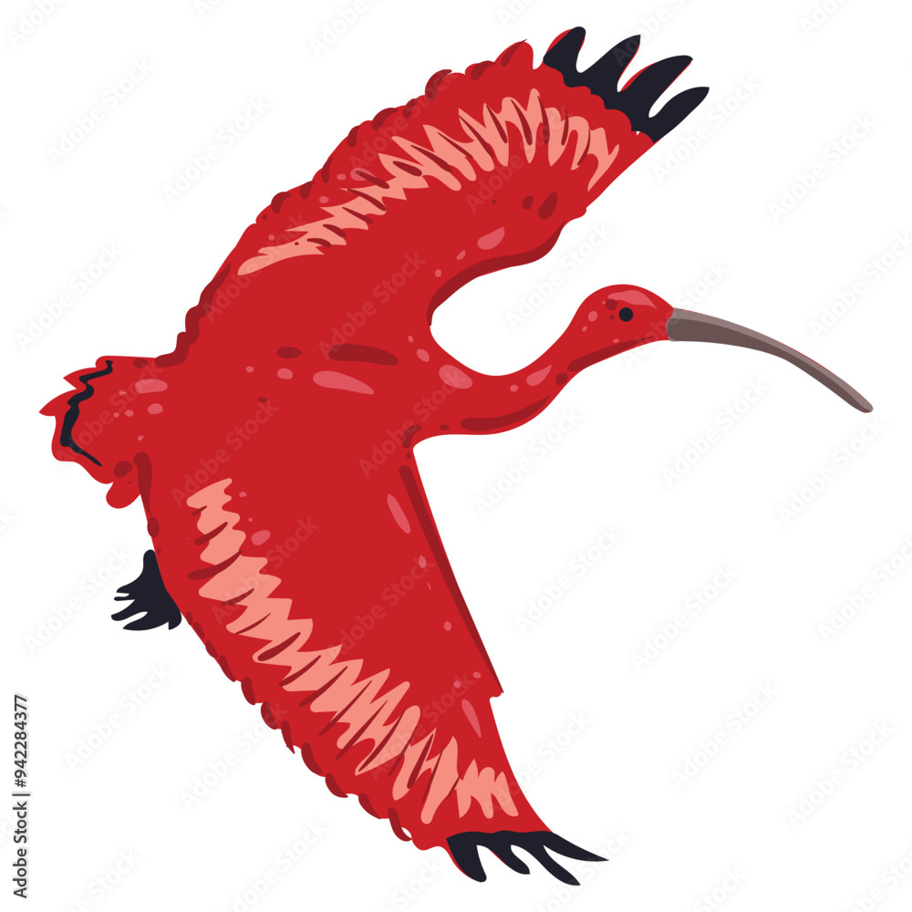 Flying Bird Scarlet Ibis or Red Ibis. Tropical wild life South America ...