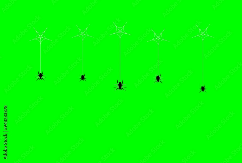 Hanging Spider animation on a green screen, Animation Of Spiders On ...