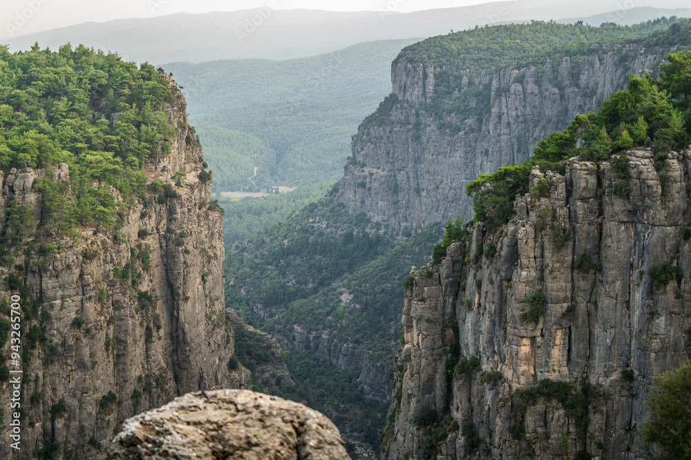 Tazi Canyon. Aerial photo of Tazi Canyon with its unique forest and ...