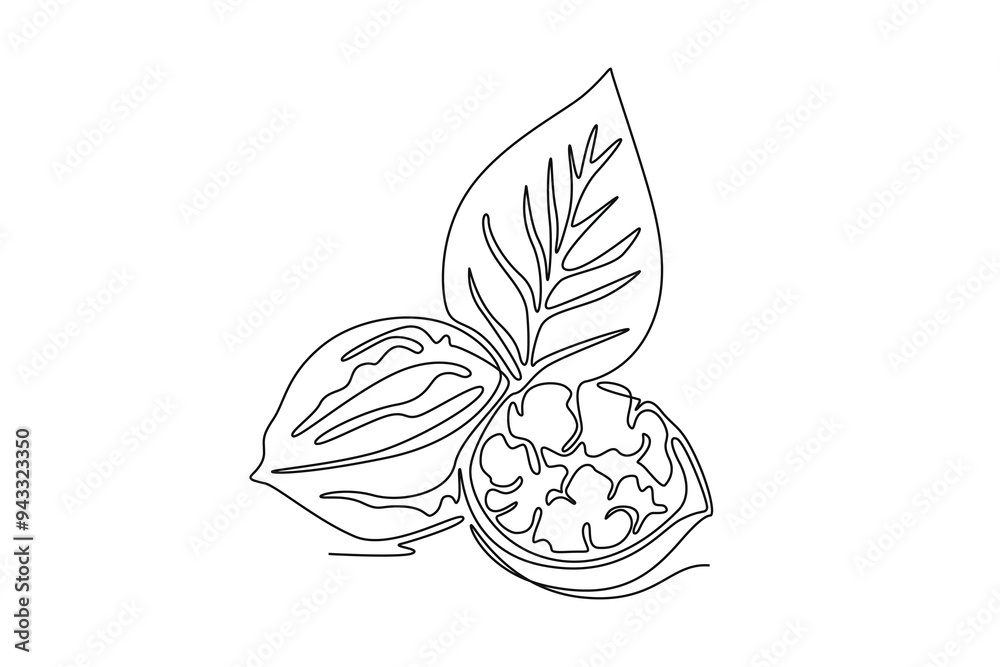 Single continuous line drawing whole healthy organic walnut and leaves ...