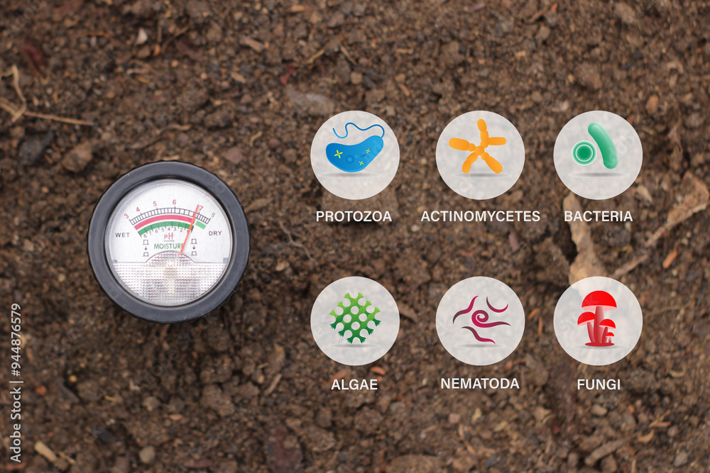 Fotka „ph meter with soil microbe icon. Depicts that proper pH helps ...
