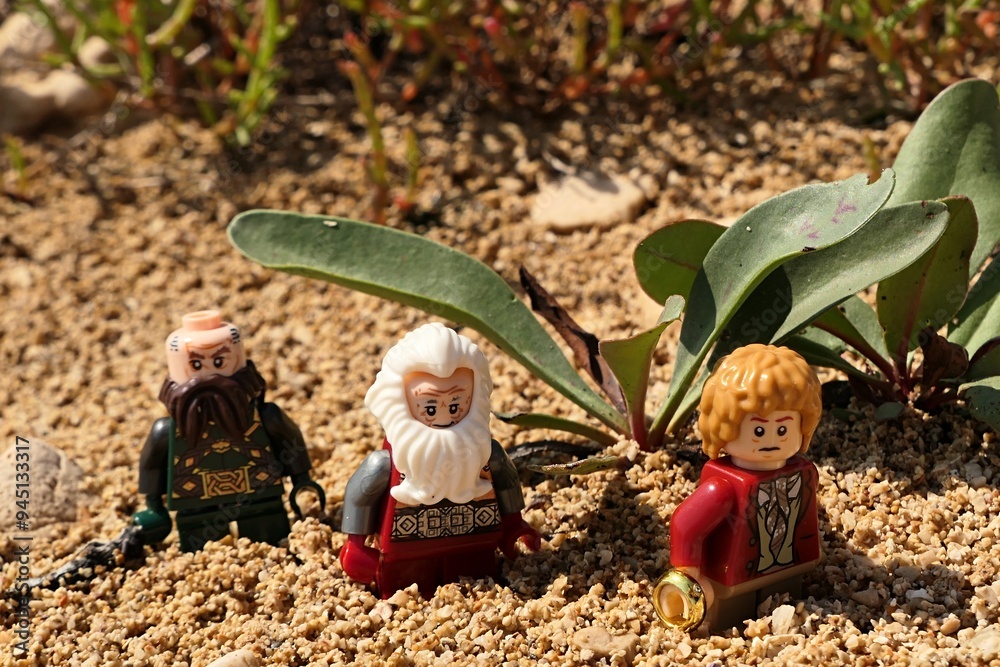LEGO Hobit figures of Bilbo with The Ring, dwarf Balin and Bifur ...