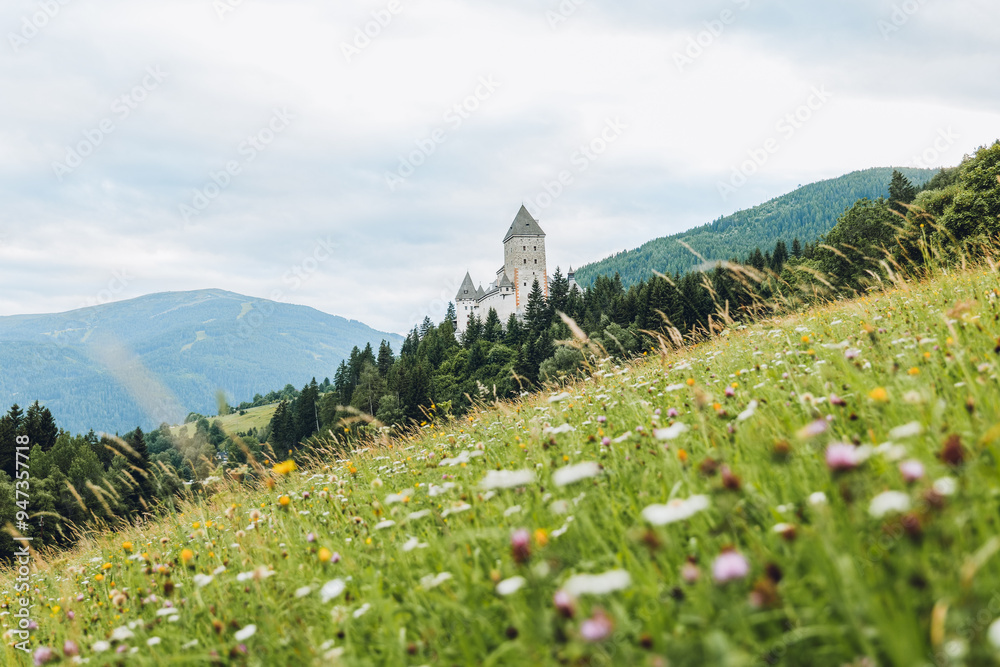 Medieval castle in the mountains in a flower field under a cloudy sky ...