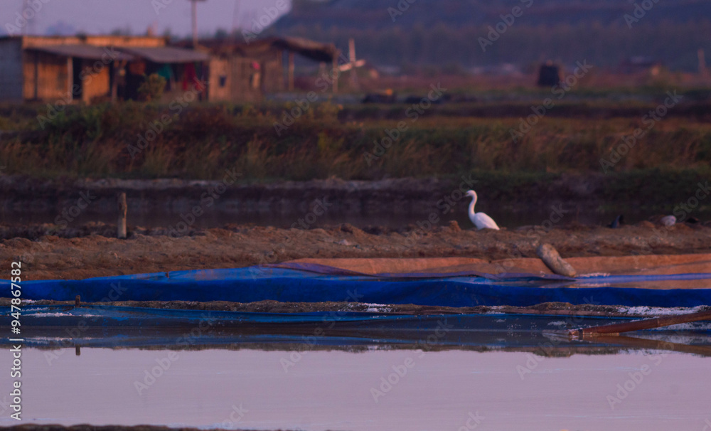 defocused salt and fish ponds in Surabaya which are usually visited by ...