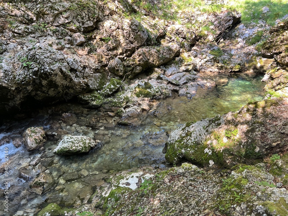 The Mostnica Gorge, Triglav National Park - Bohinj, Slovenia - Korita ...