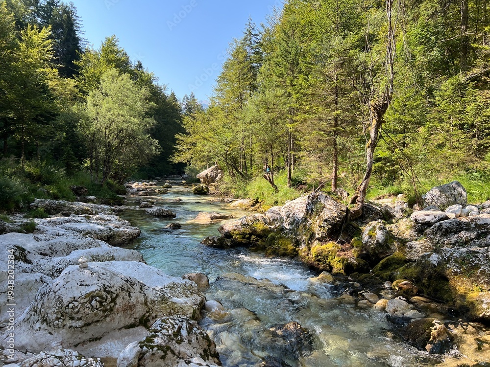 The Mostnica Gorge, Triglav National Park - Bohinj, Slovenia - Korita ...