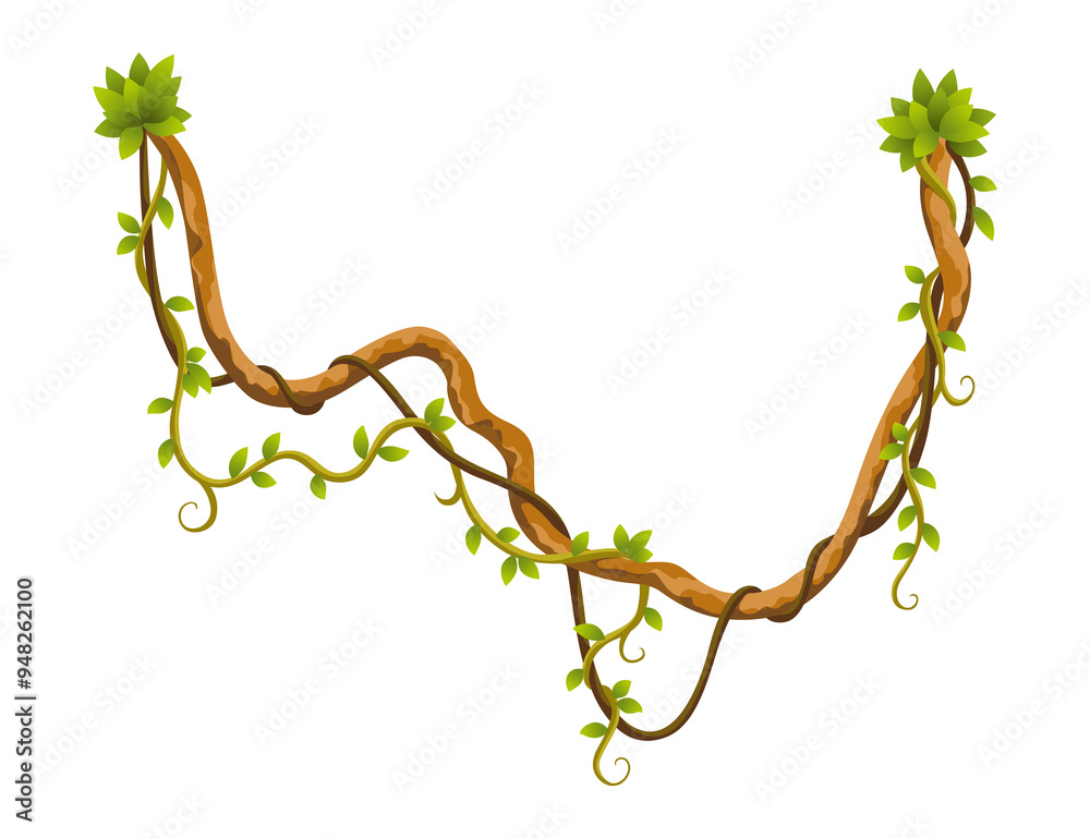 Liana branch. Twisted wild jungle vine plants. Woody natural tropical ...