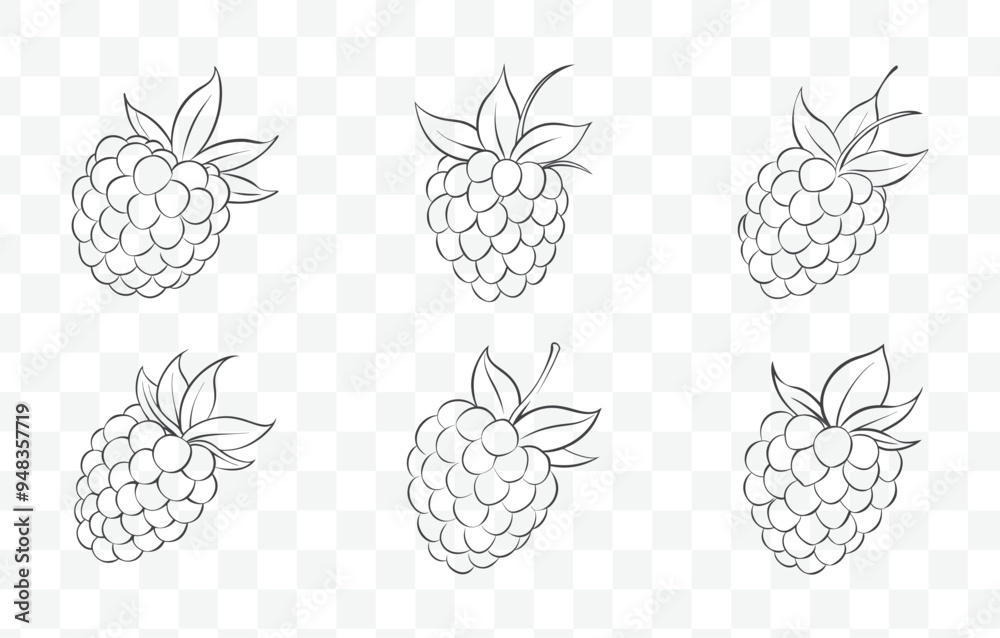 Print Elegant Blackberry Line Art Vector Collection Featuring Detailed ...