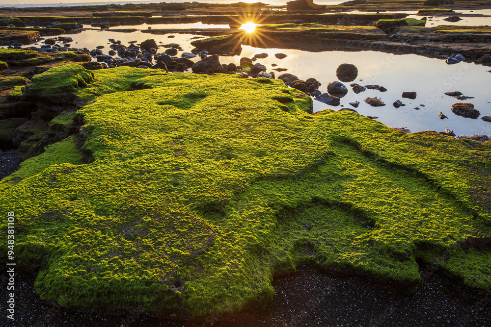 Sunrise view of green laver on sea rock at Gwangchigi Beach near ...