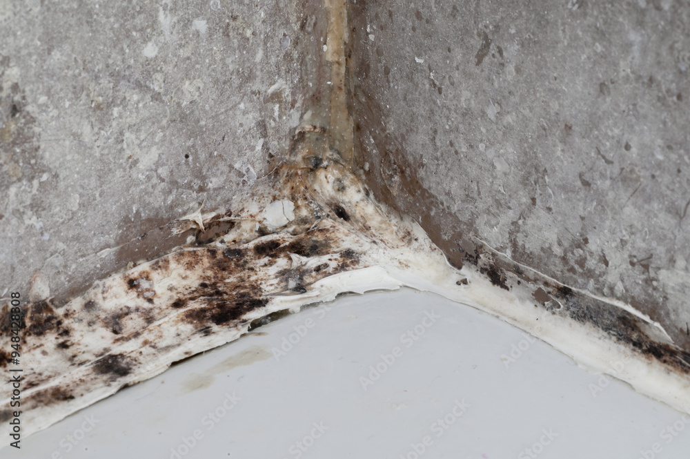 Black mold in bathroom. Multiple mold spots on sealant in bathroom ...