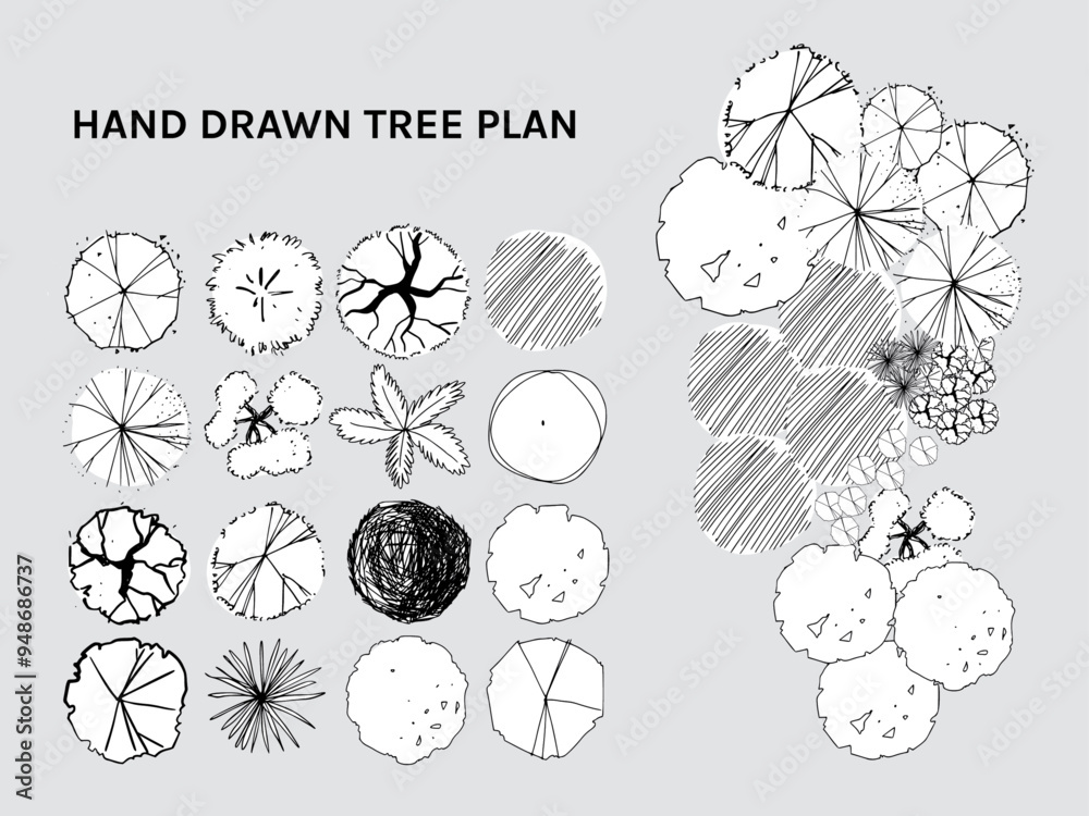 Vector tree top view isolated for landscape plan and architecture ...