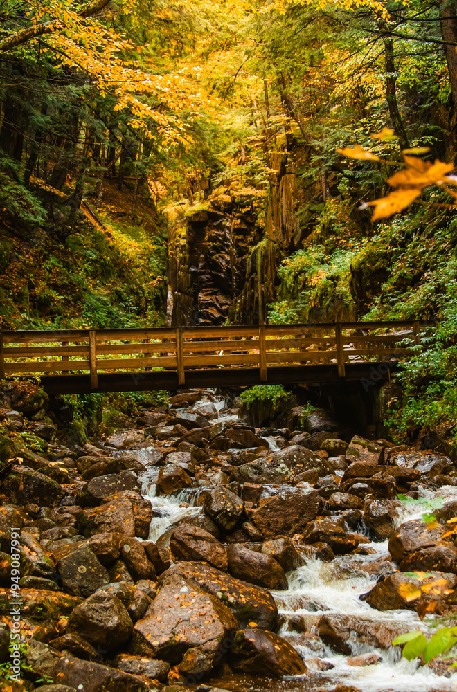 Autumn Scenic Forest Trail Wooden Bridge Over Cascading River Rocks in ...