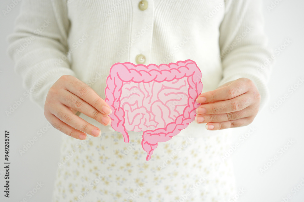 Asian woman hands holding intestine shape, healthy bowel digestion ...