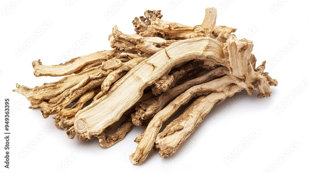 Angelica Root: Close-Up View of the Aromatic Herbal Root, Showcasing ...