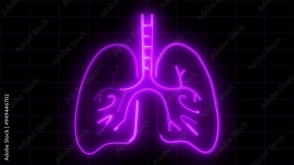 Neon glowing digital anatomy of human lungs purple color icon 4k ...