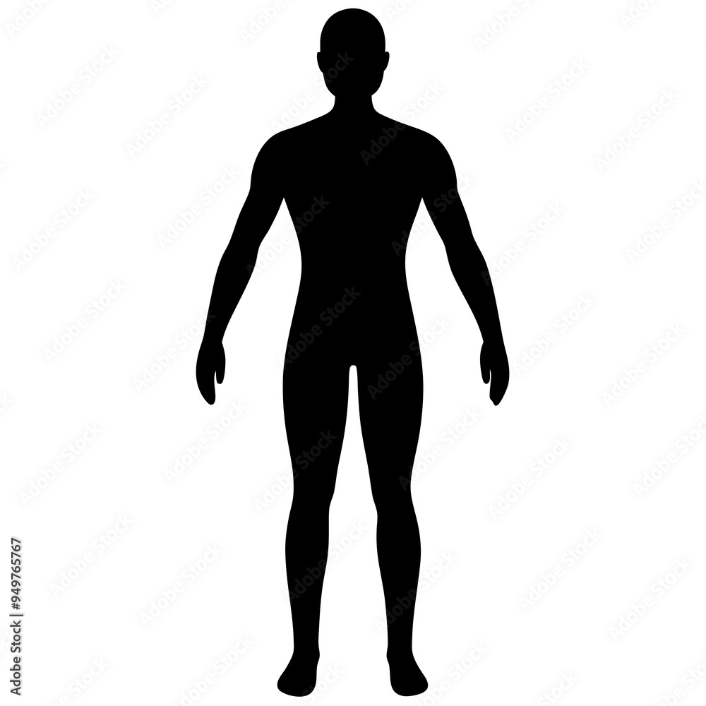 Human full body Silhouette image art for vector illustration on white ...