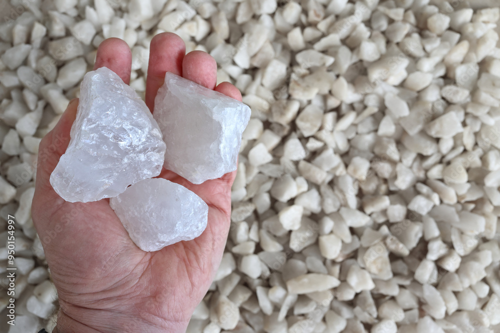 High grade quartz (crystalline mineral) mine ore held in open hand ...