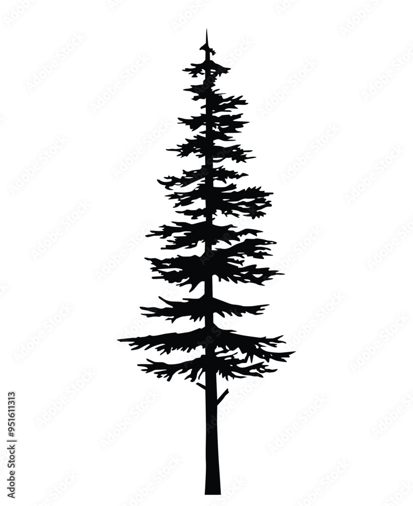 tree pine silhouette, cypress evengreen vector, cedar forest wood ...