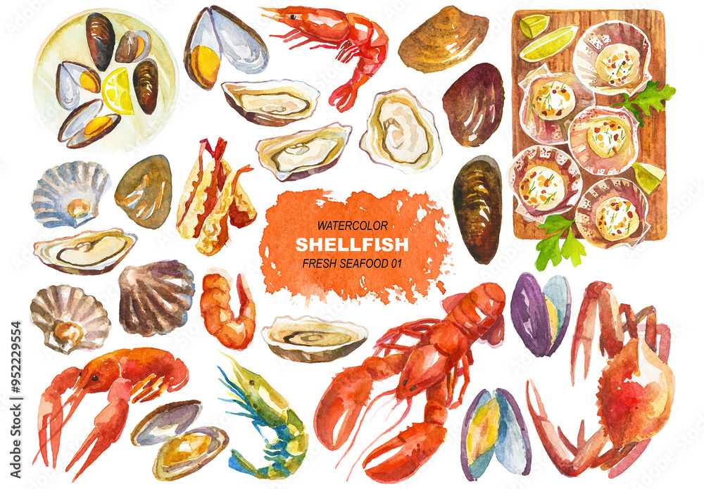 Vector watercolor painted shellfish clipart. Hand drawn elements ...