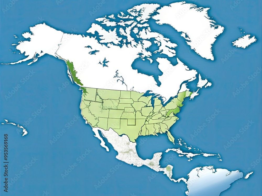 A blank, white, and simplified map of North America, highlighting ...