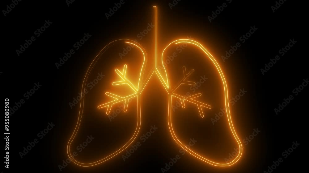 anatomical, anatomy, animation, background, biology, body, breathe ...