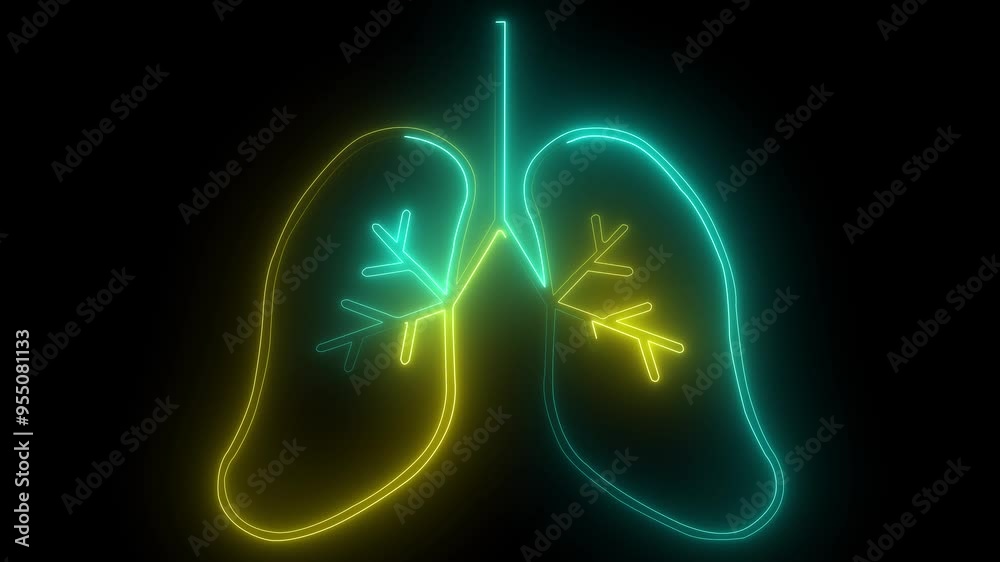anatomical, anatomy, animation, background, biology, body, breathe ...