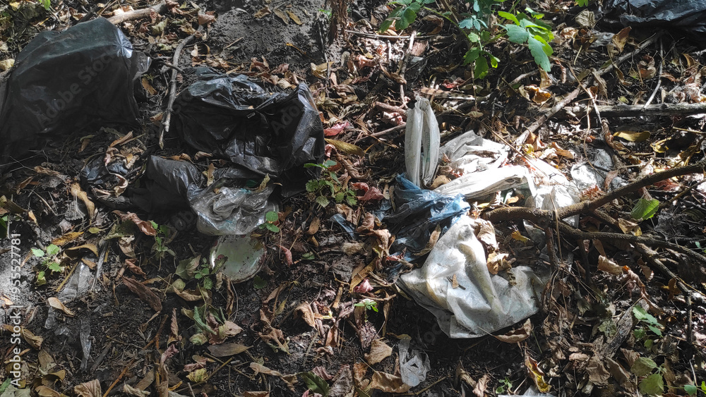 Plastic trash thrown out in the forest in nature. The problem of ...