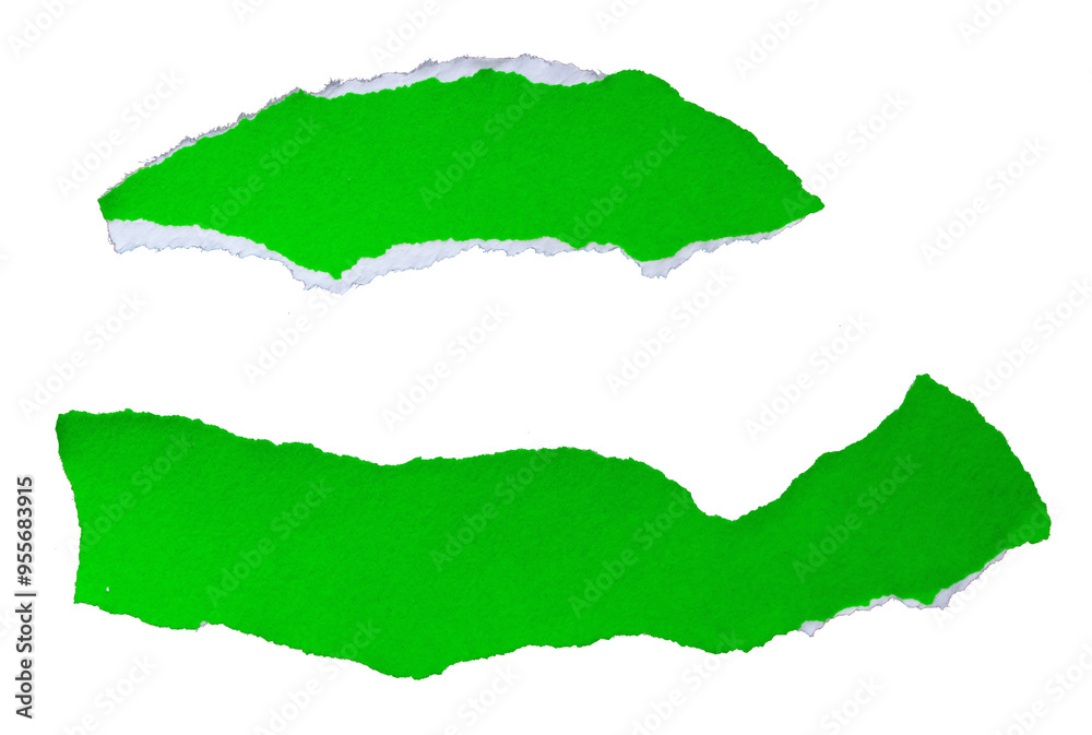 Ripped torn green paper pieces on transparent background, paper cut out ...