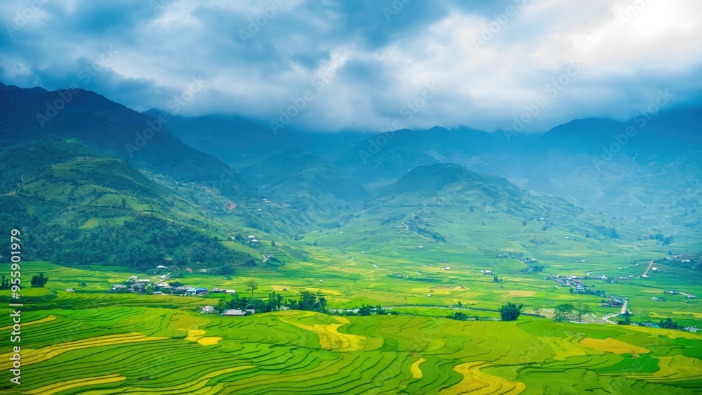 Rice terrace Field Green agriculture rainny season dark cloud amazing ...