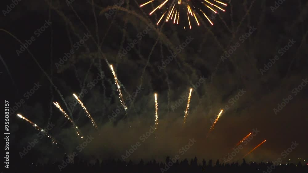 Crowd of people watch Breathtaking spectacle of international fireworks ...