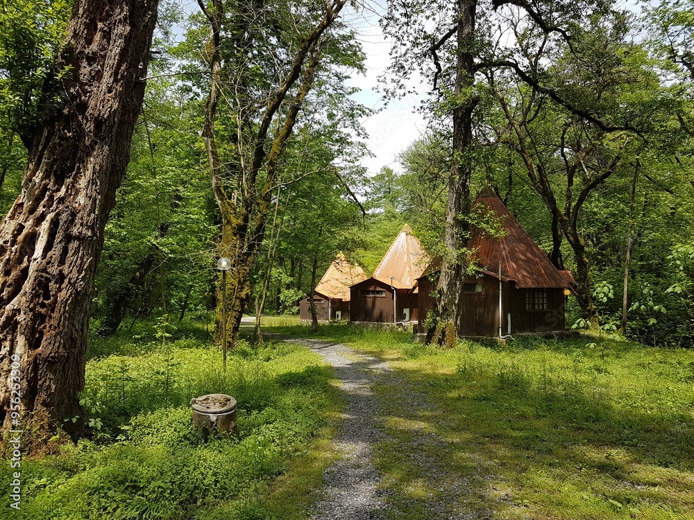 house, wood, nature, architecture, tree, wooden, forest, cottage ...