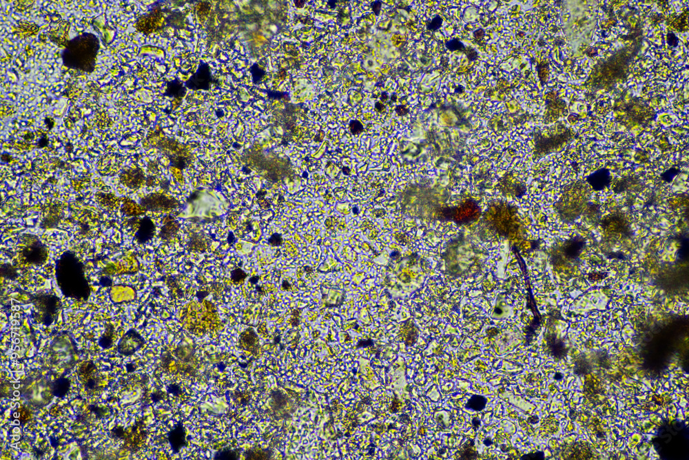 Soil under the microscopy, looking at sand, silt and clay and soil ...