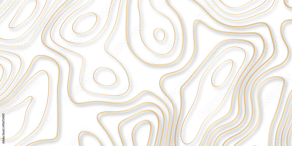 A Detailed Exploration of How Topography and Topology Work Together in ...