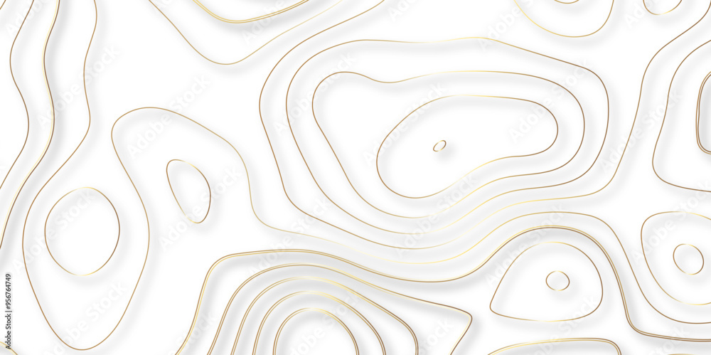 The Synergistic Effect of Topography and Topology in the Development of ...