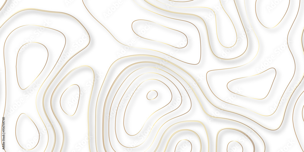 The Synergistic Effect of Topography and Topology in the Development of ...