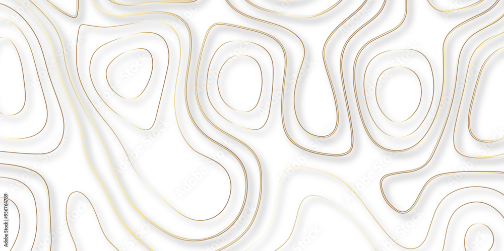 The Synergistic Effect of Topography and Topology in the Development of ...