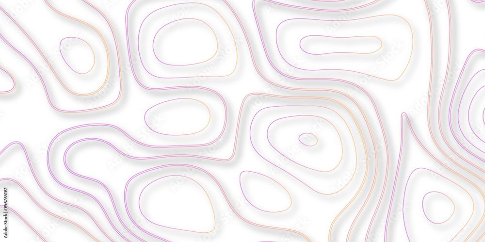 A Comprehensive Study of Topographic and Topological Principles in ...