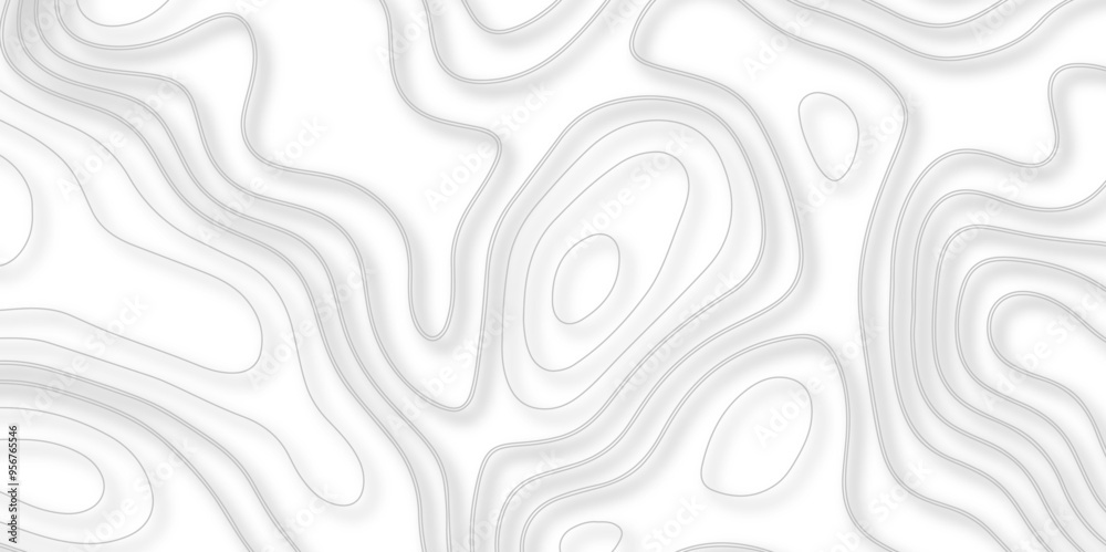 Mapping the Intersection of Topography and Topology: The Creation of ...