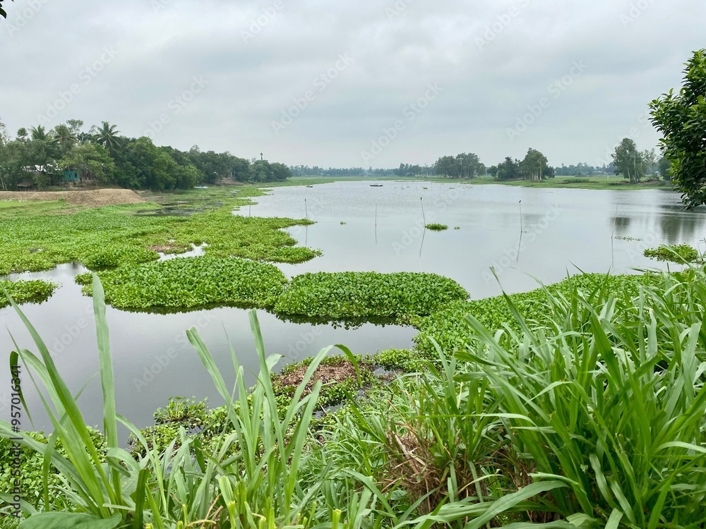 Tangail, Bangladesh - June 21 2024: Fisherman are fishing on the ...
