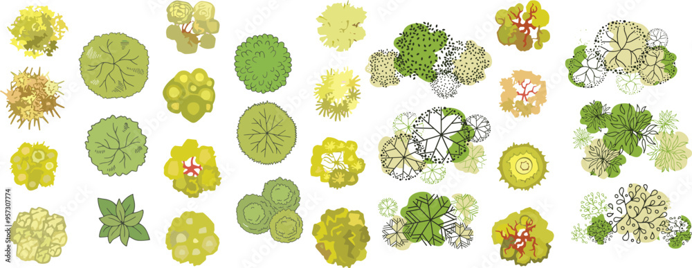 Vector tree top watercolor hand drawn view isolated on white background ...