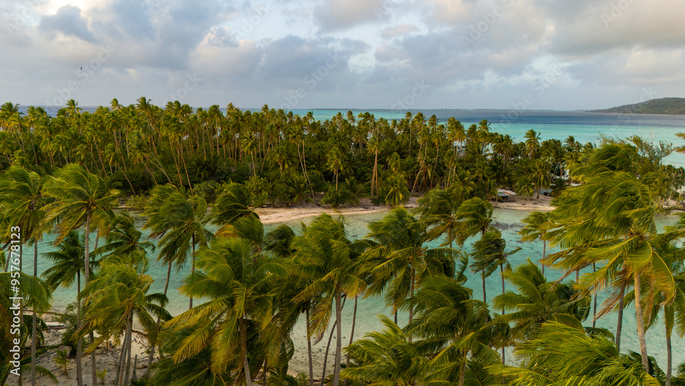 Beautiful sunset in nature over tropical palm trees and an azure lagoon ...