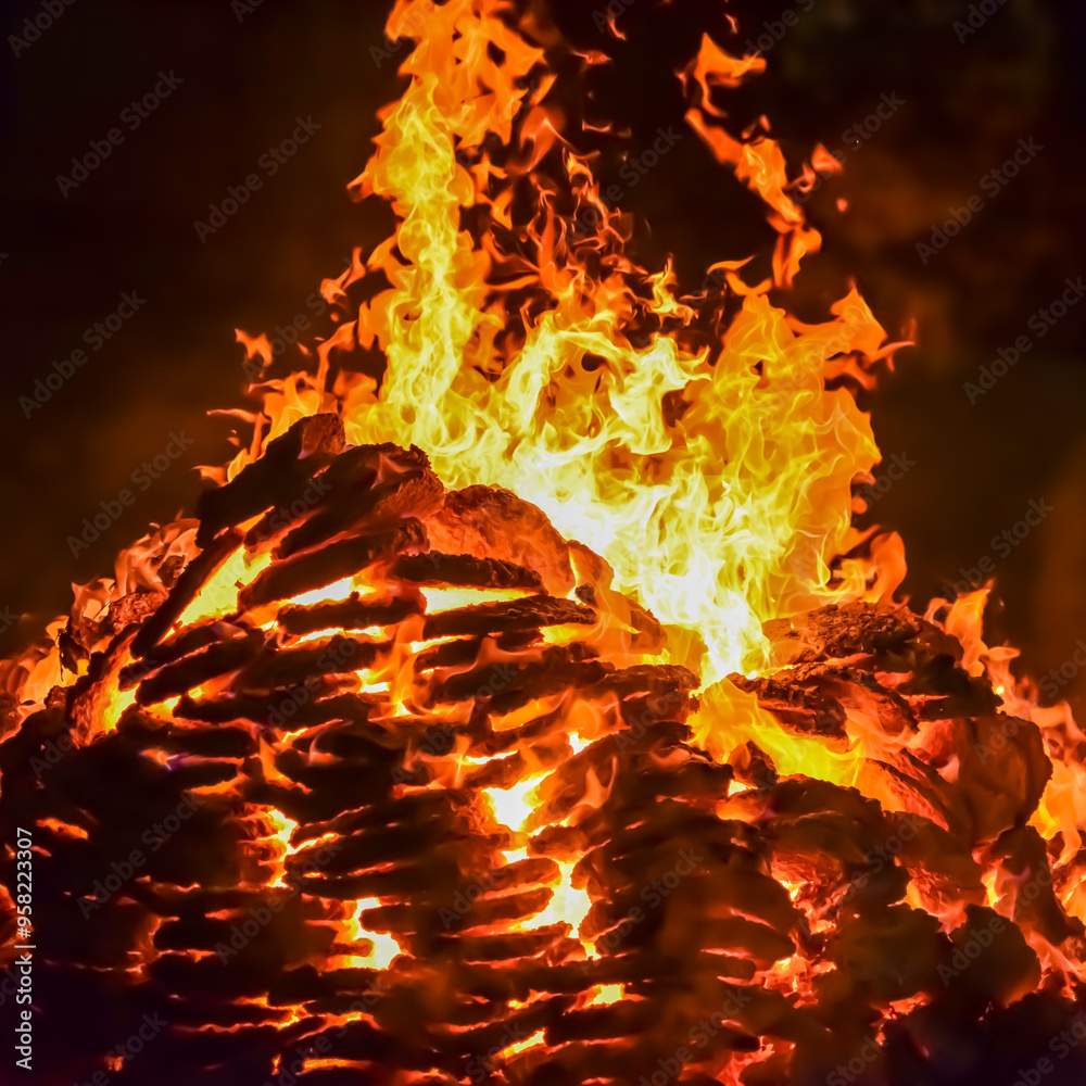 Fire flames on black background, Blaze fire flame texture background ...