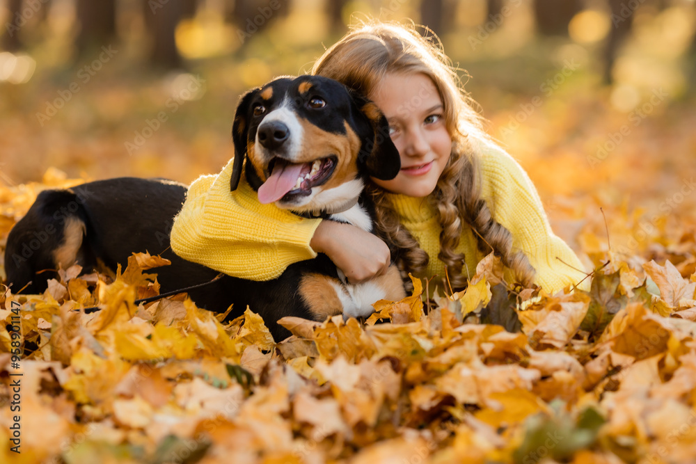 little teenage girl walks with her dog in the autumn in the forest ...